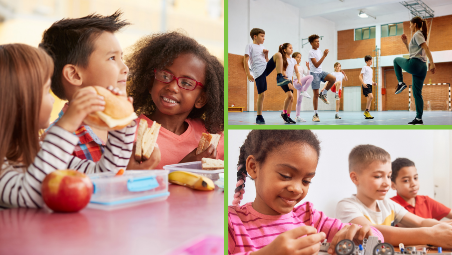 Children's Treatment Network - CTN and Closing the Gap Launch Summer ...